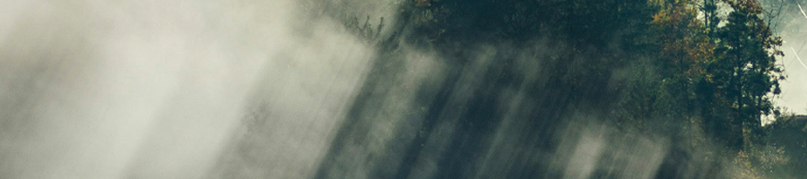 Treeline | the Green Moss edition - pre-orders start now | Ultimae records